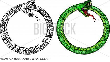 Coiled Snake Biting Vector & Photo (Free Trial) | Bigstock