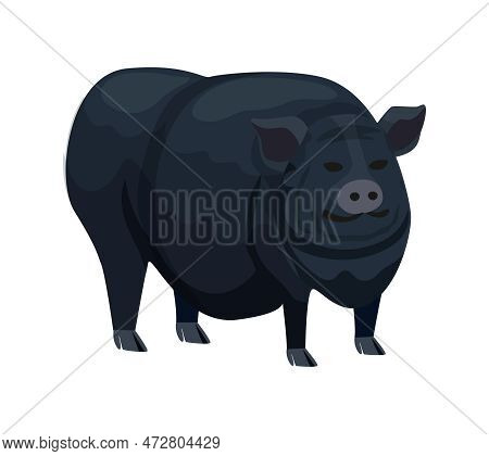 Big Fat Black Pig Vector & Photo (Free Trial) | Bigstock