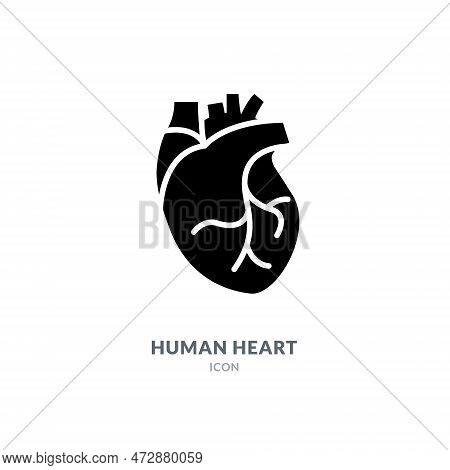 Human Heart Medical Vector & Photo (Free Trial) | Bigstock