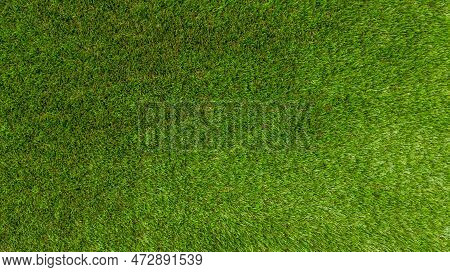 Grass Real Field Image & Photo (Free Trial) | Bigstock