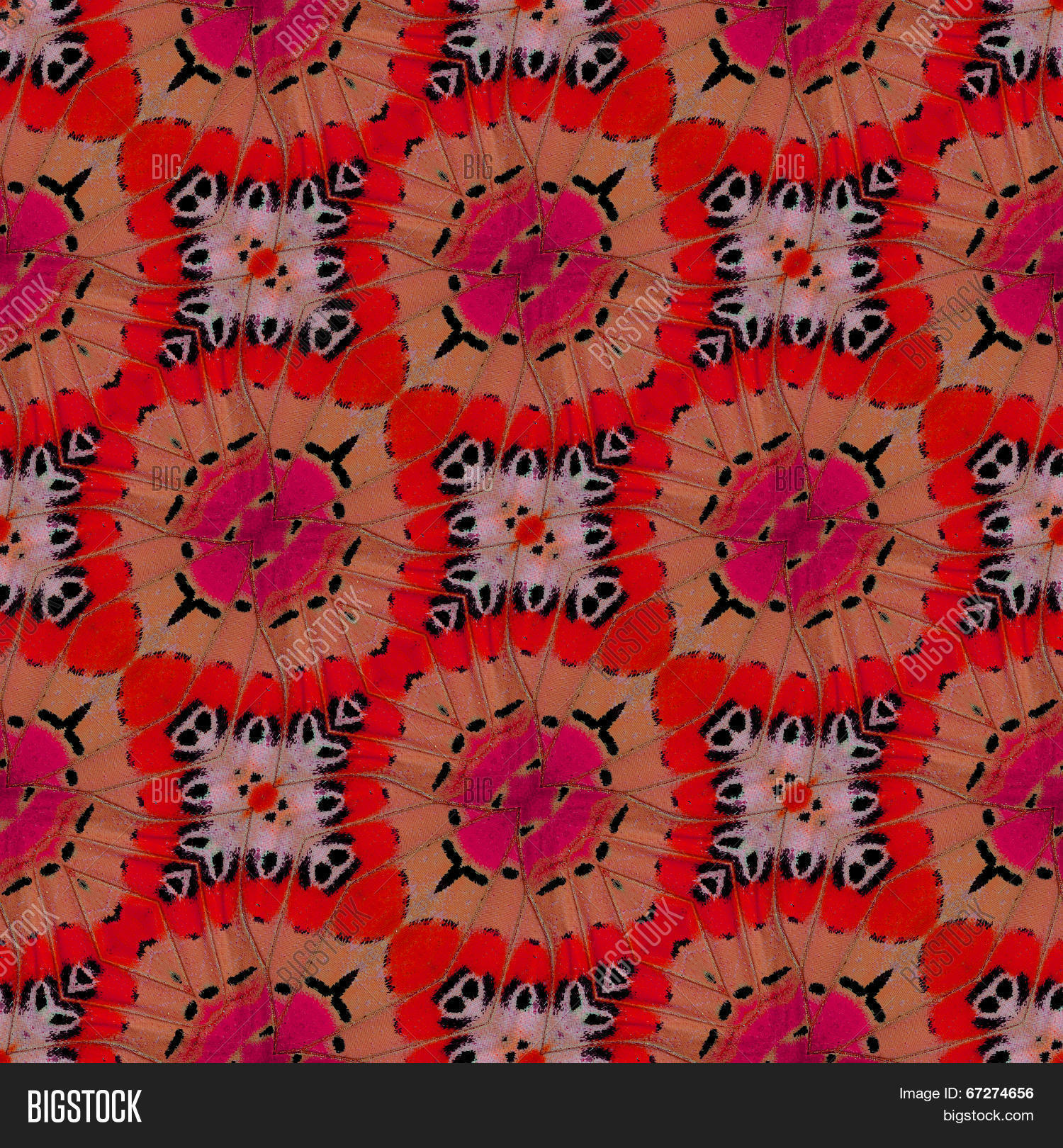 Nice Red Background Image & Photo (Free Trial) | Bigstock