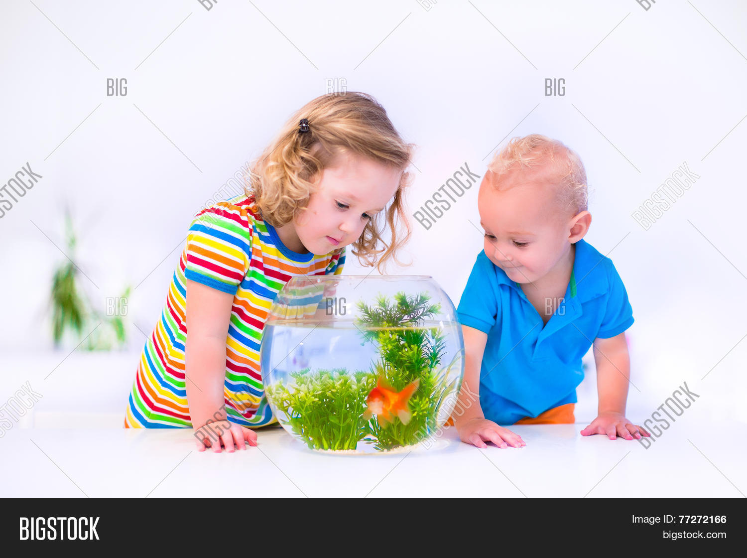 Kids Watching Fish Image & Photo (Free Trial) | Bigstock