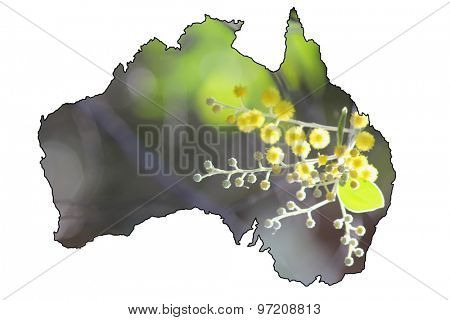 Map Australia Wattle Image & Photo (Free Trial) | Bigstock