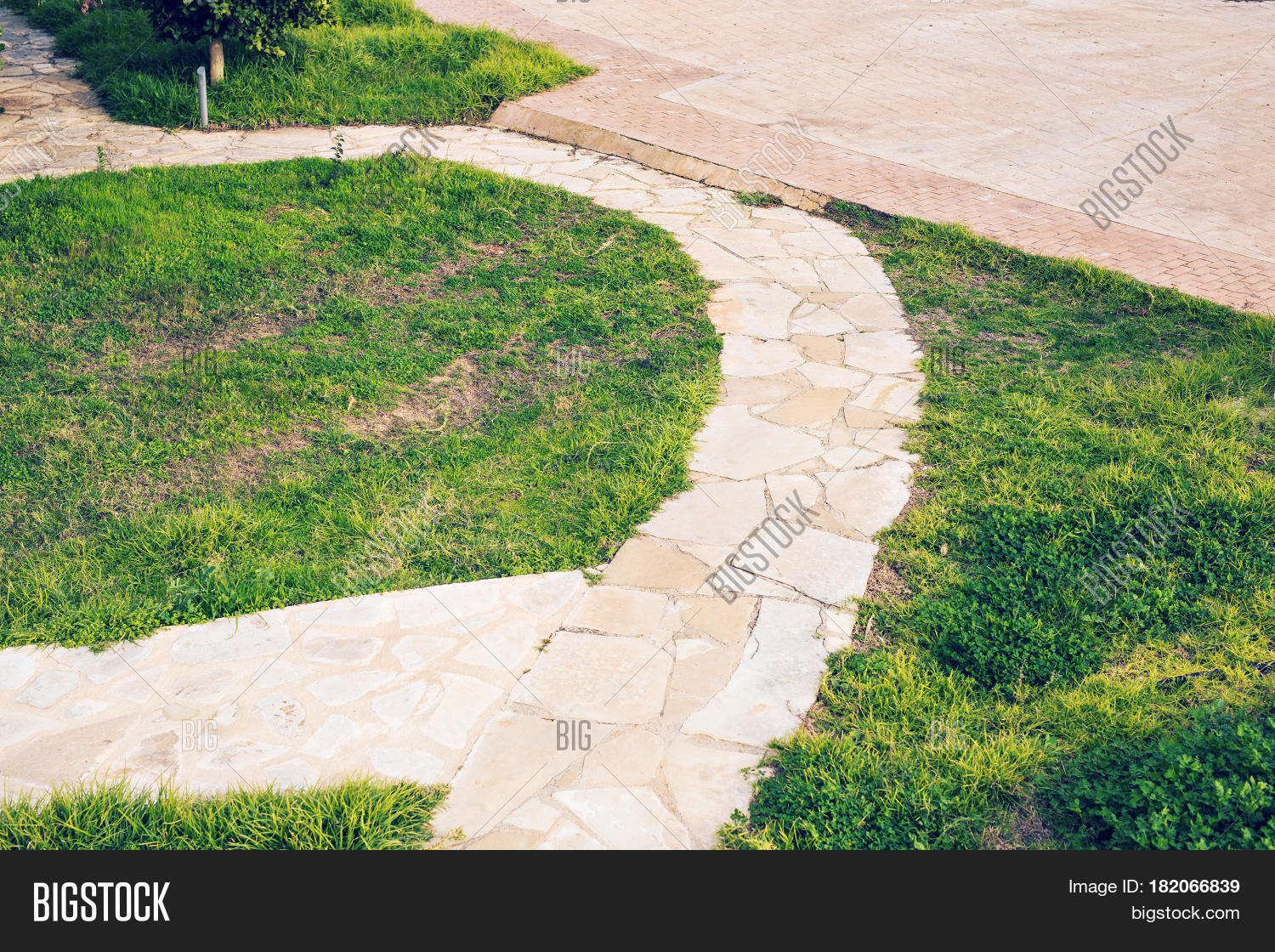 Pathway Garden, Green Image & Photo (Free Trial) | Bigstock