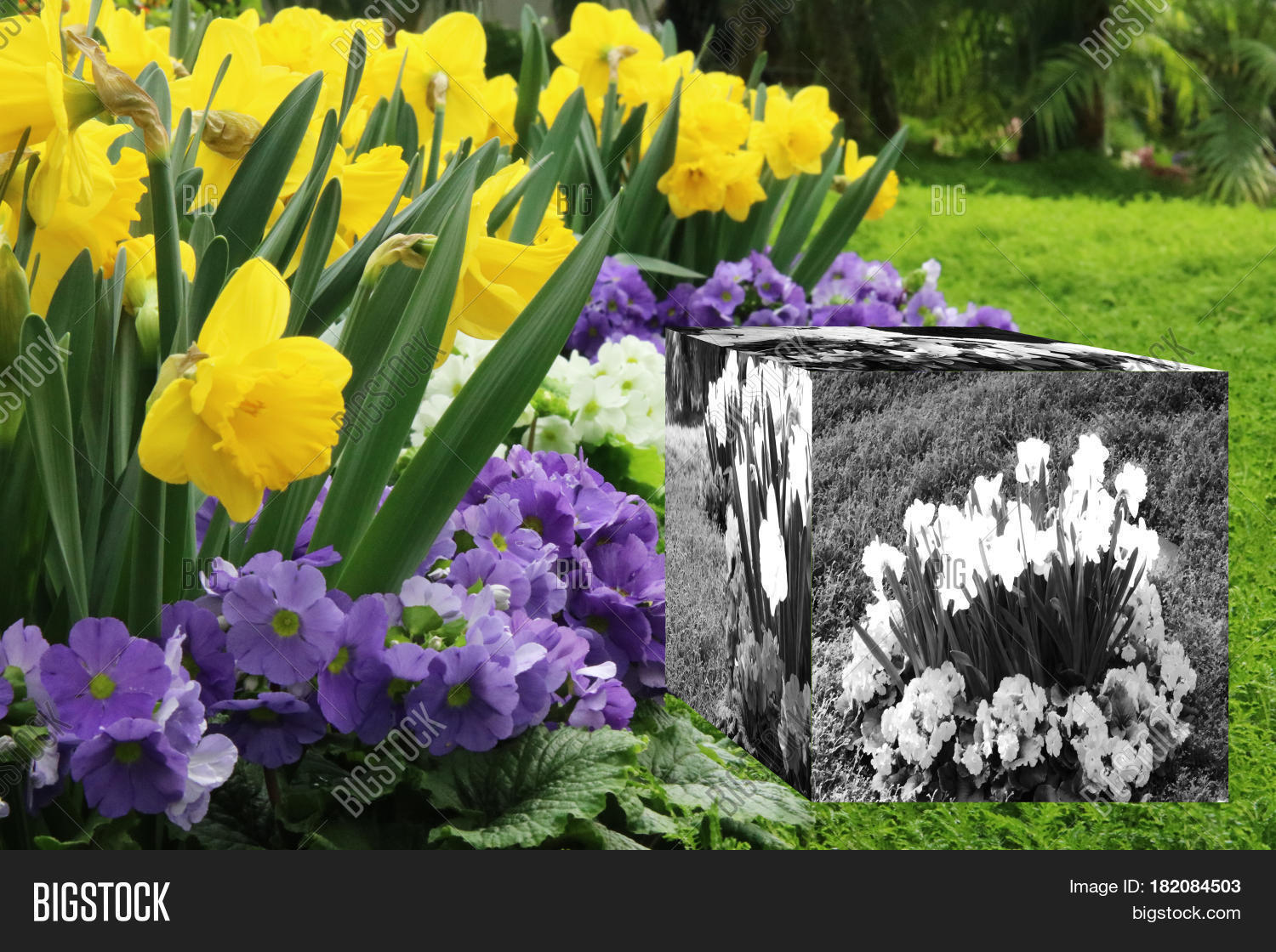 3D Cube Flower, Image & Photo (Free Trial) | Bigstock