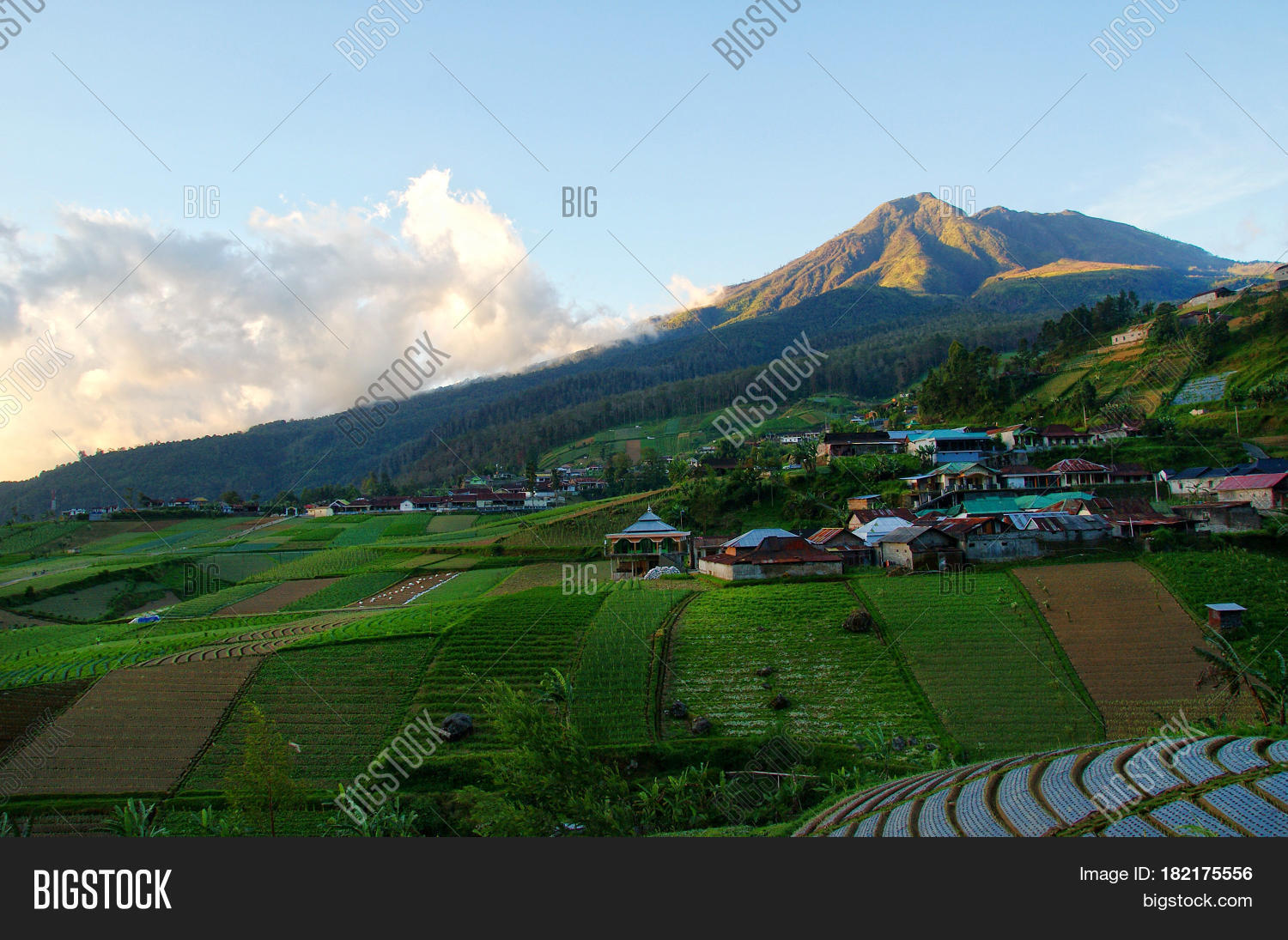 Lawu Mountain Located Image & Photo (Free Trial) | Bigstock