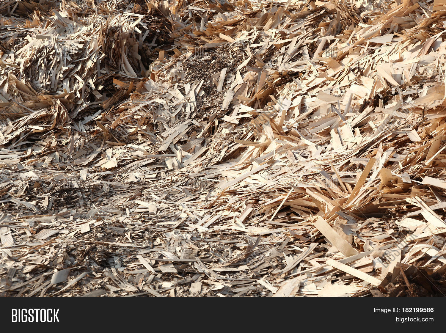 Huge Pile Wood Waste Image & Photo (Free Trial) | Bigstock