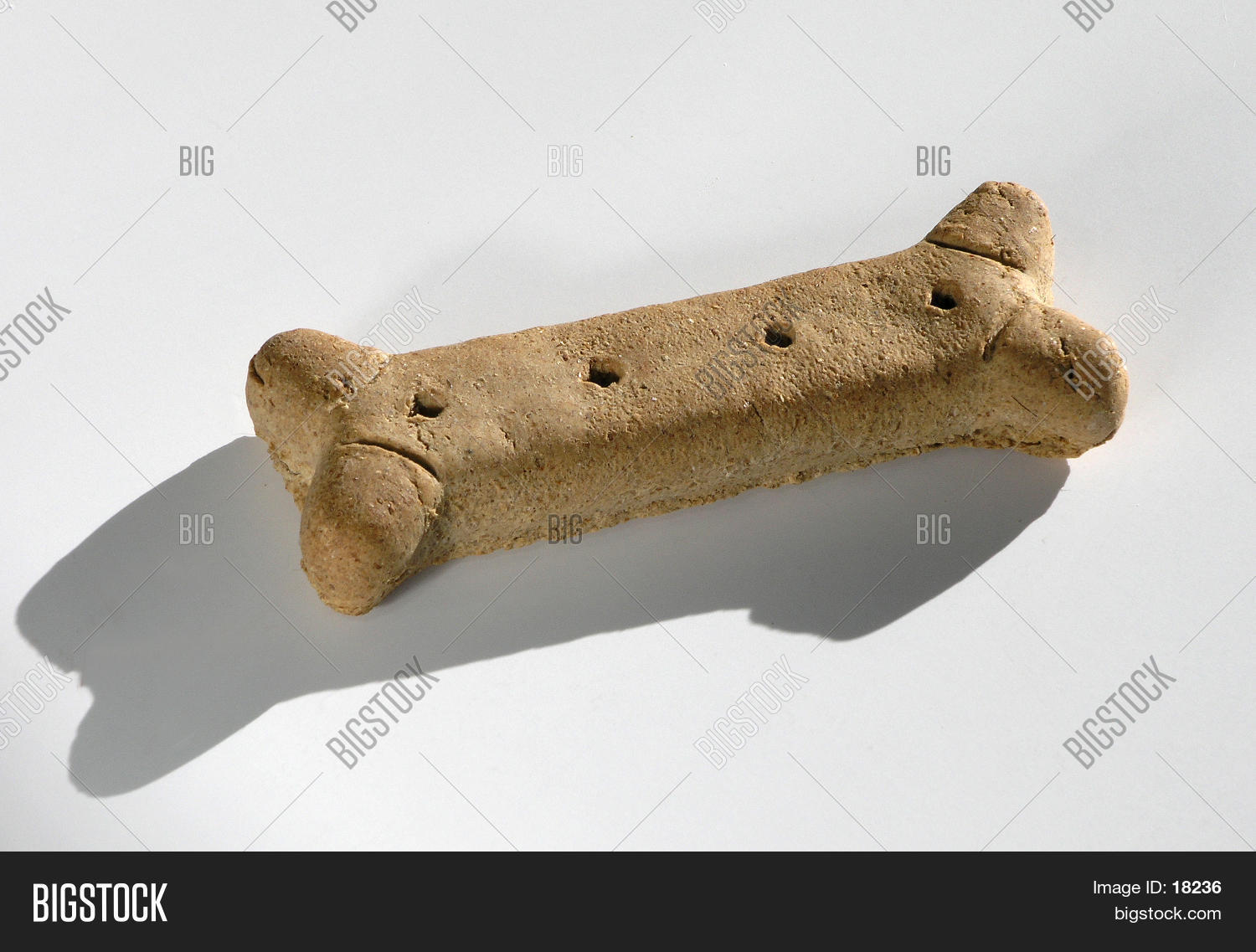 Single Dog Bone Image & Photo (Free Trial) | Bigstock