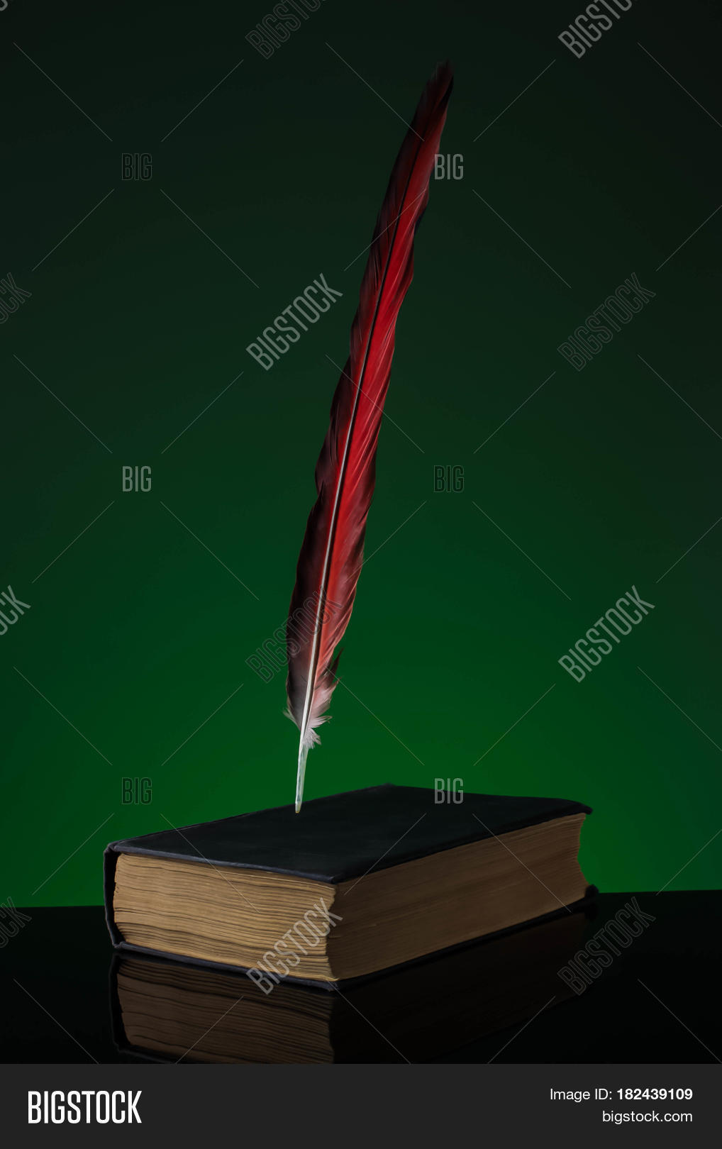 Feather Pen Inkwell Image & Photo (Free Trial) | Bigstock