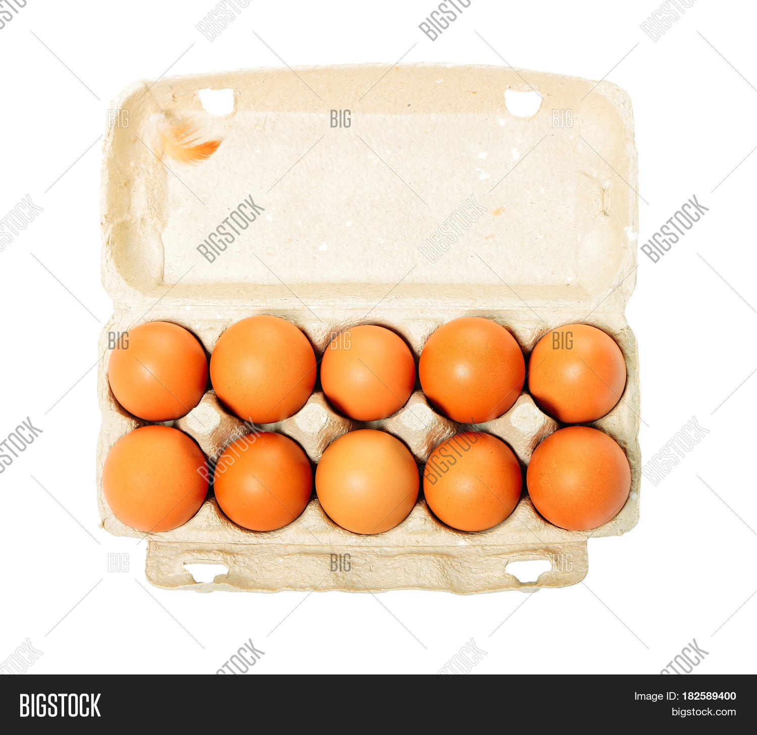 Cardboard Egg Box Ten Image & Photo (Free Trial) | Bigstock