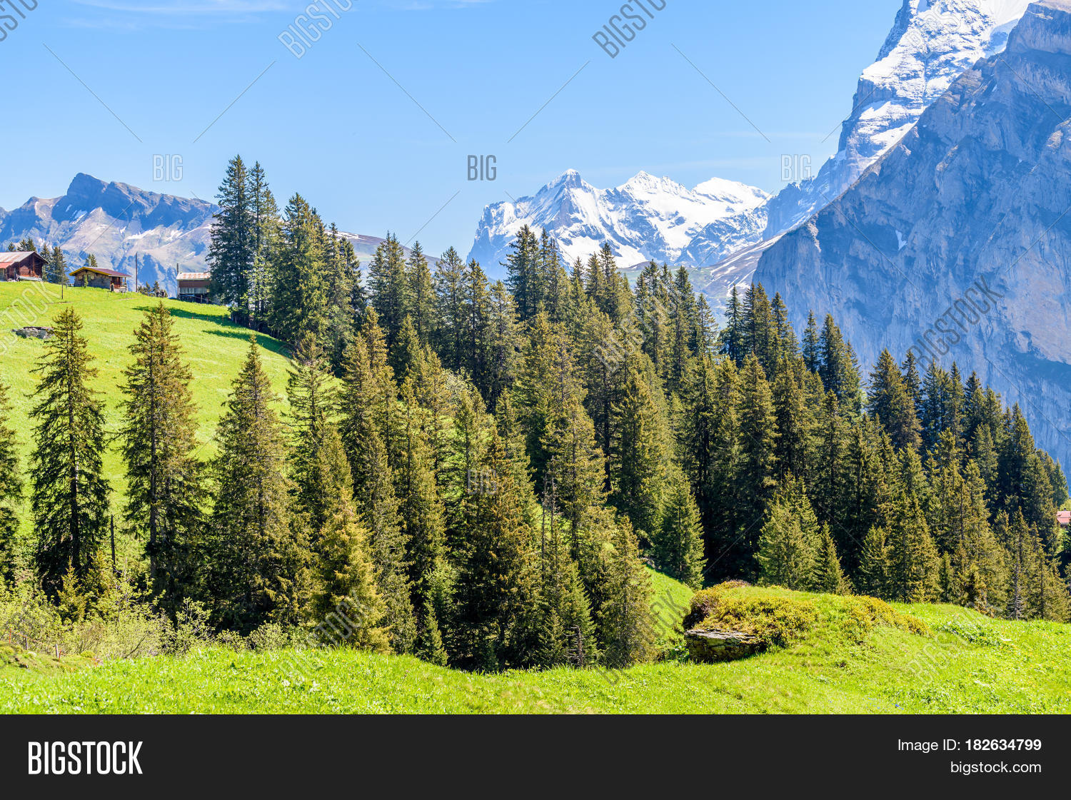 Swiss Alps Murren, Image & Photo (Free Trial) | Bigstock