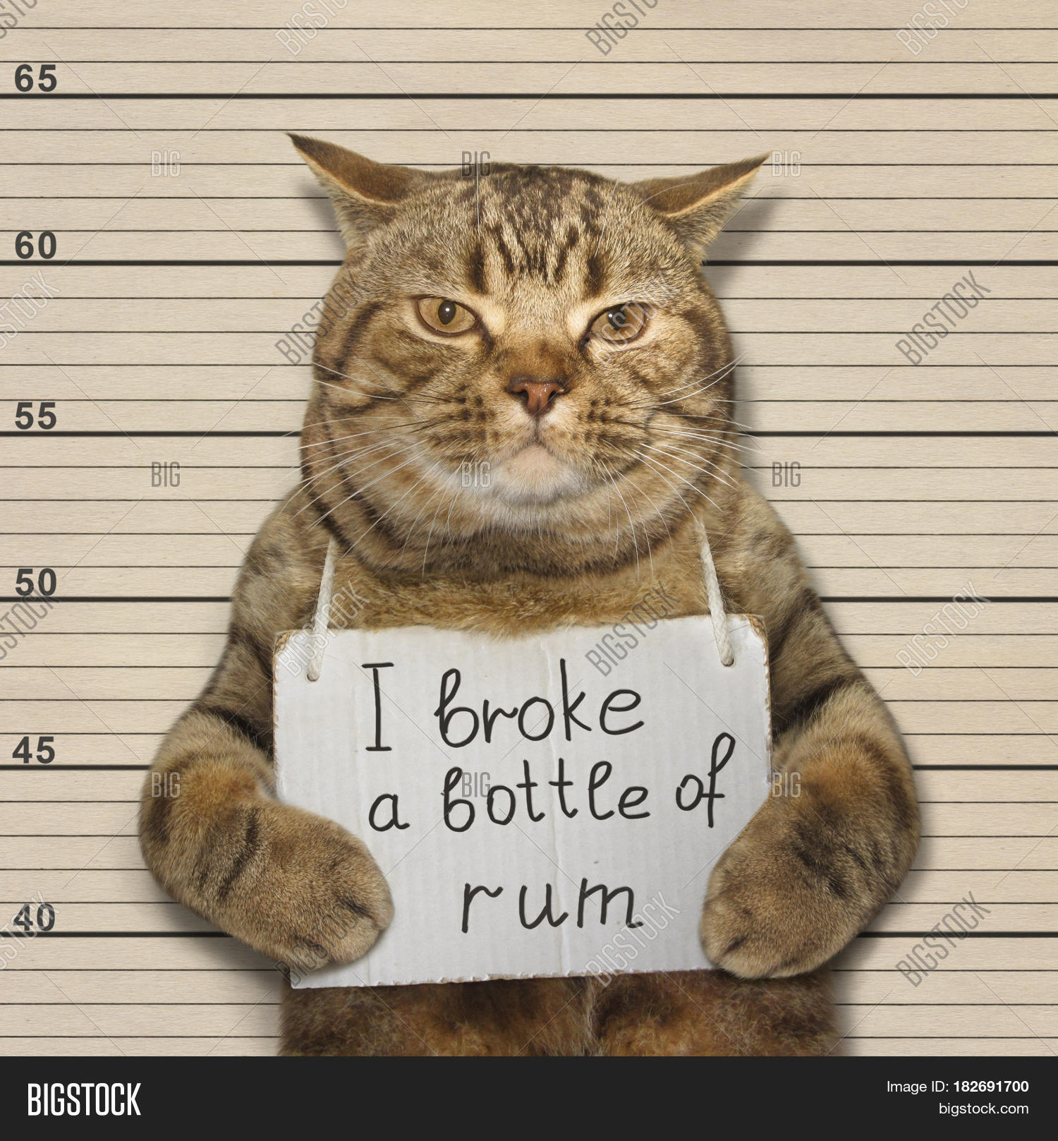 Wild Cat Crashed Image & Photo (Free Trial) | Bigstock