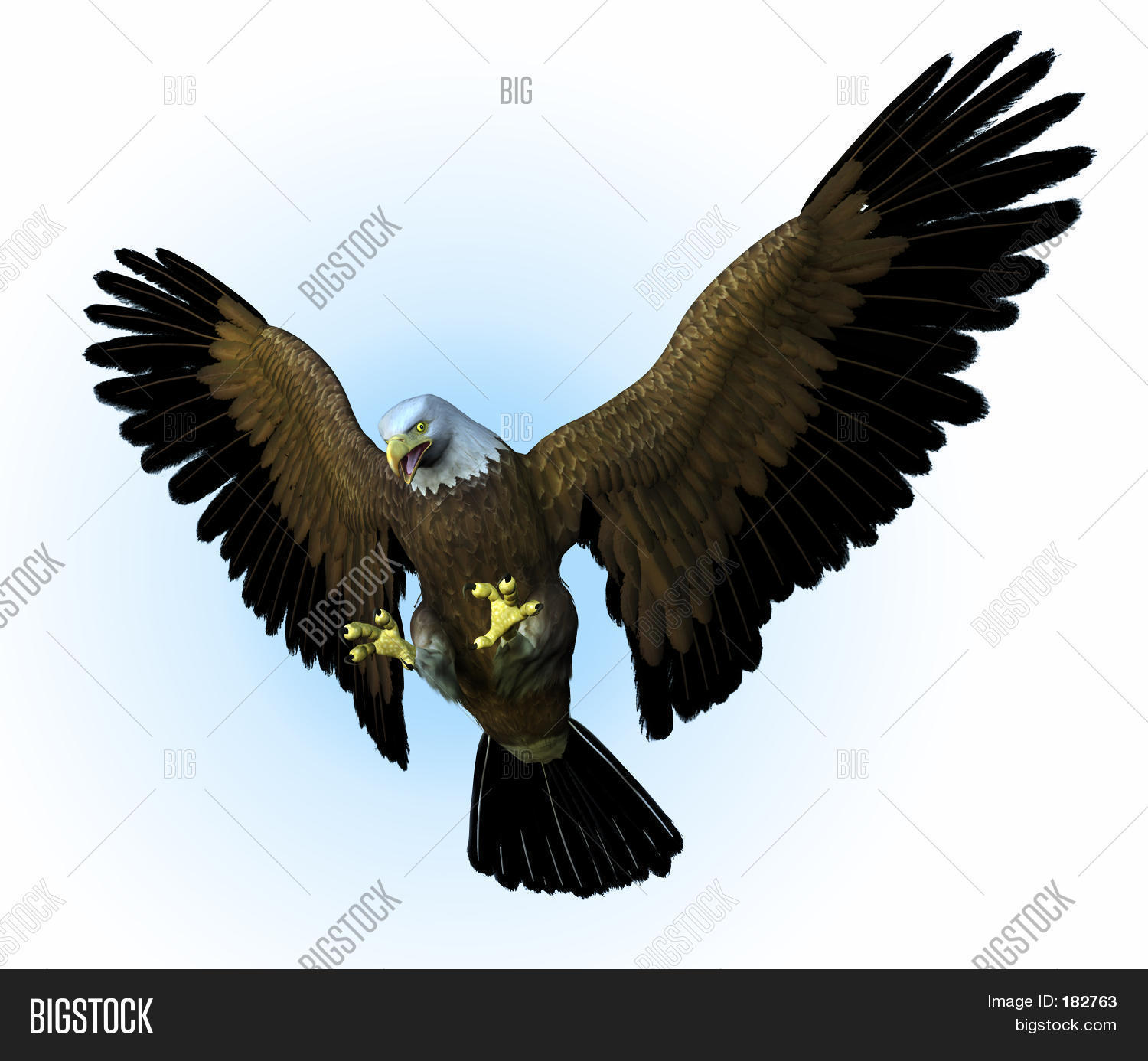 Eagle Swooping Down Image & Photo (Free Trial) | Bigstock