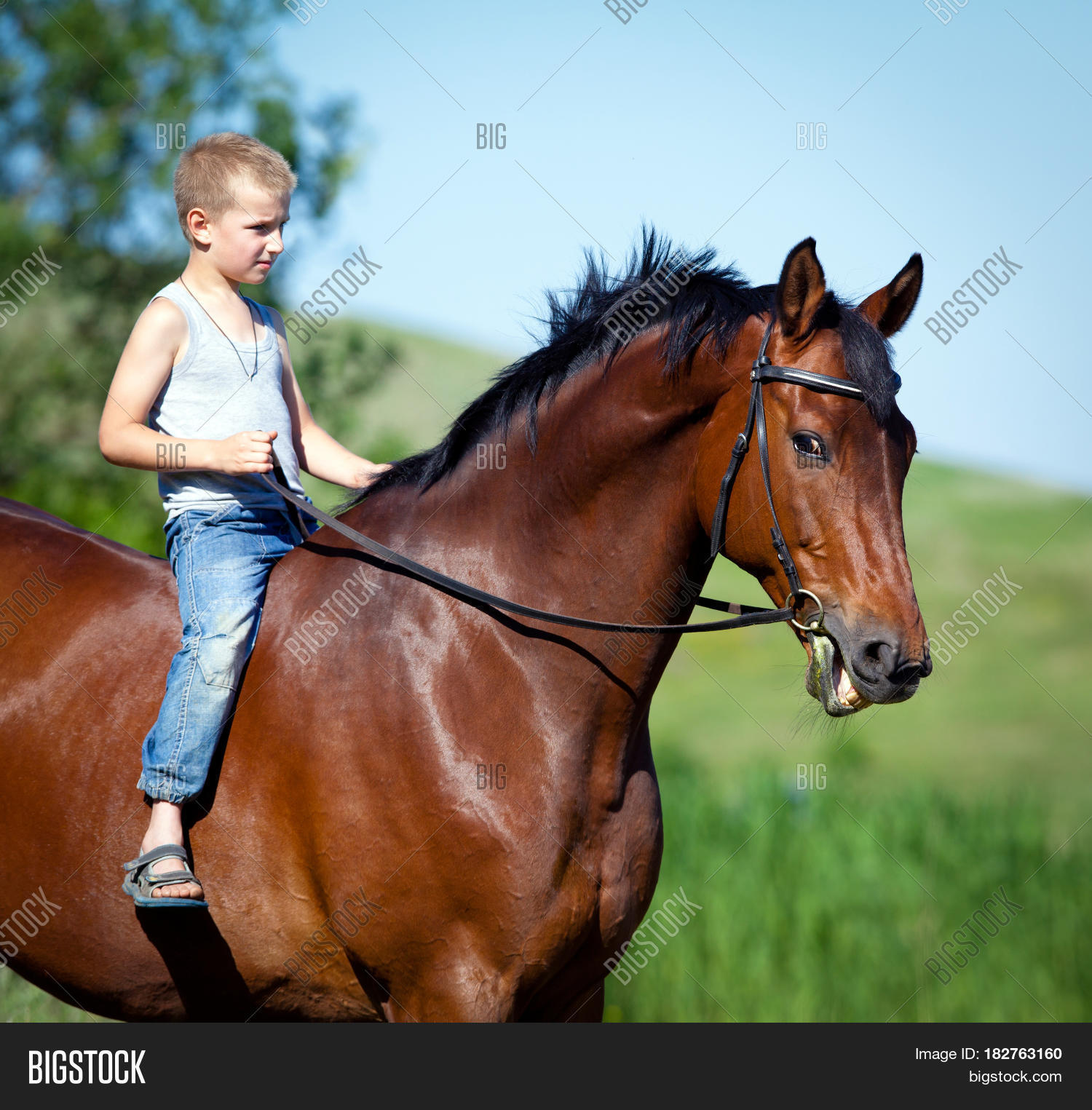 Child Riding Big Bay Image & Photo (Free Trial) | Bigstock