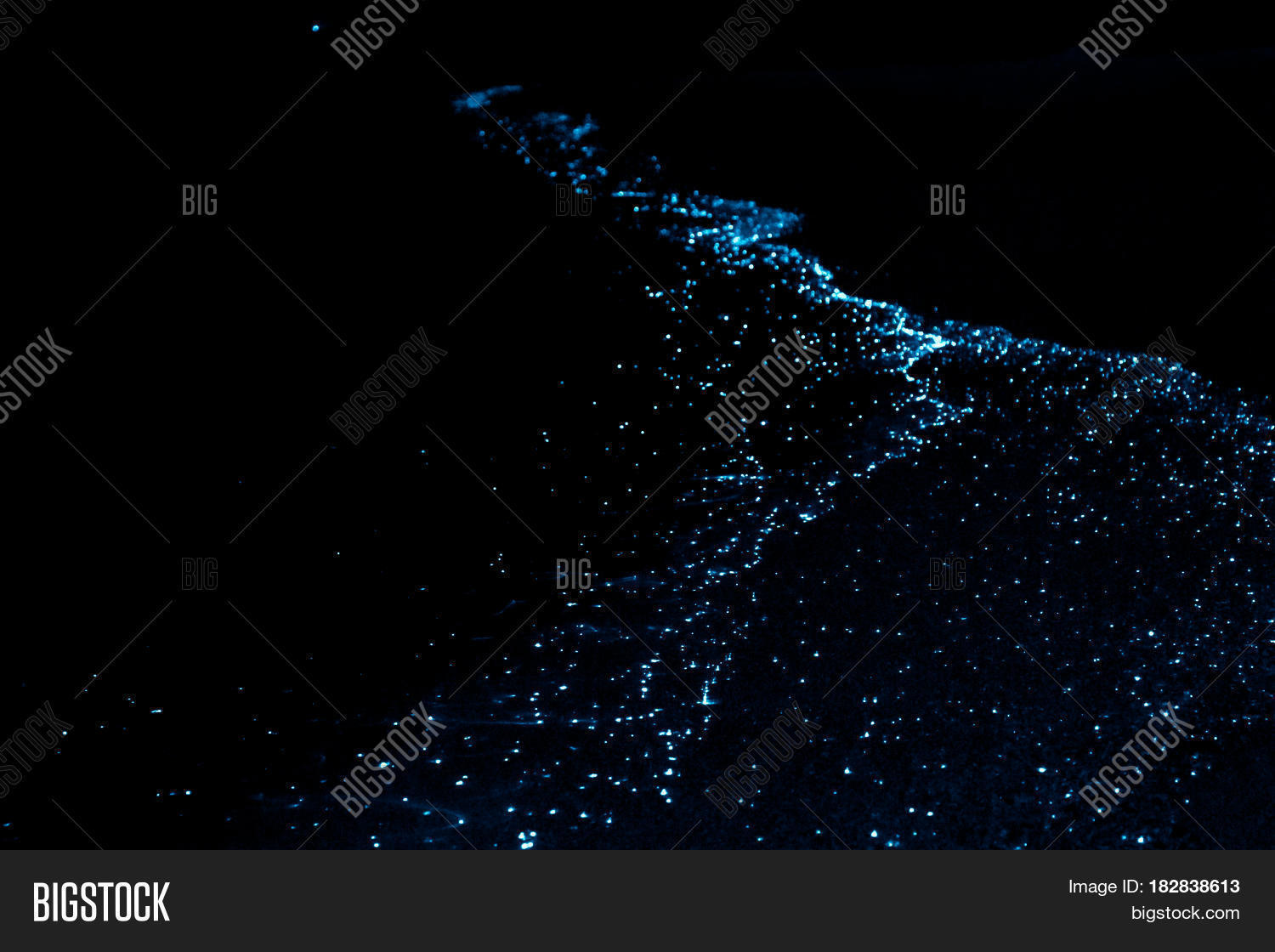 Bio Luminescence. Image & Photo (Free Trial) | Bigstock