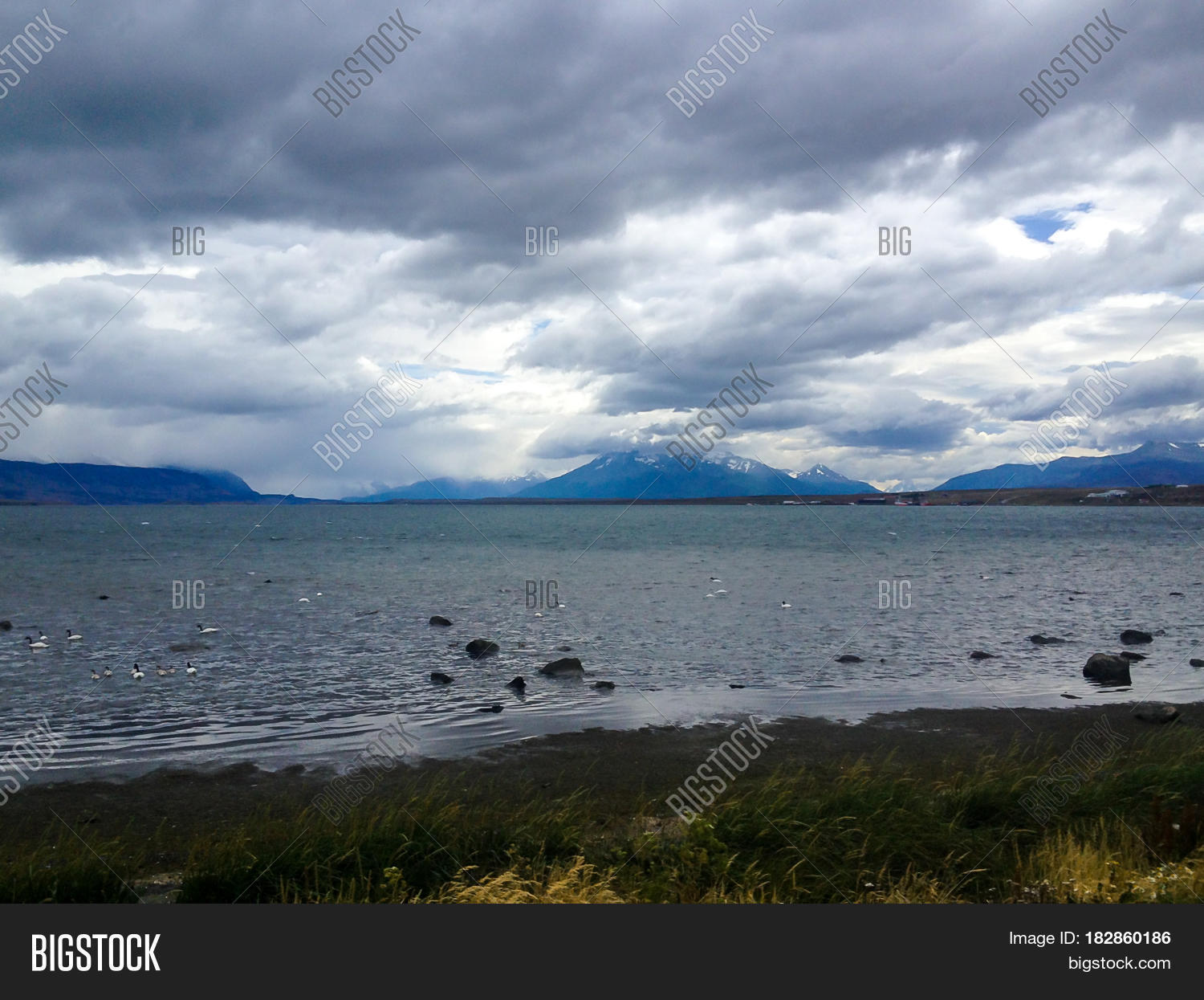Punto Arenas Patagonia Image & Photo (Free Trial) | Bigstock