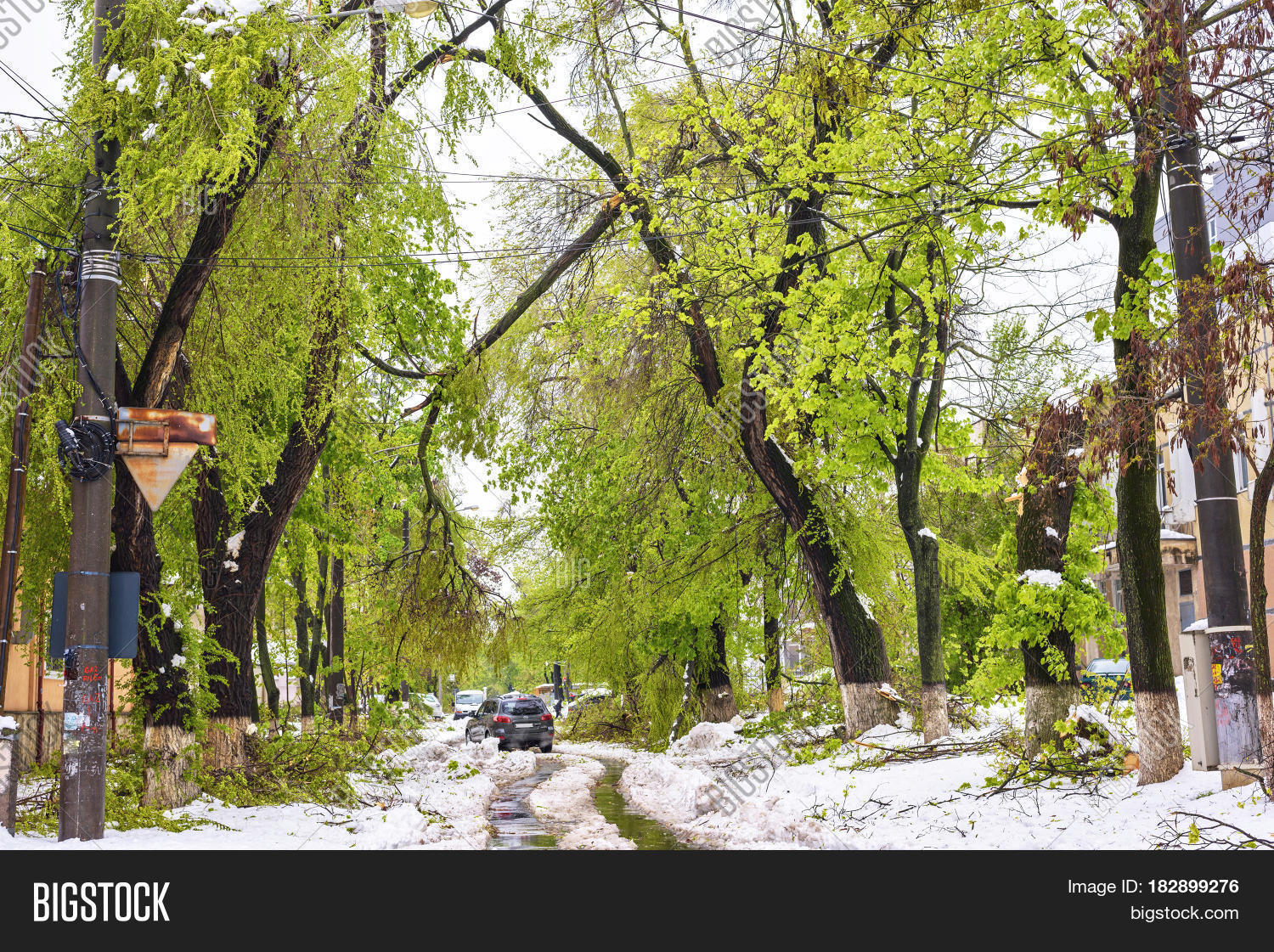 Heavy Snow Apocalypse Image & Photo (Free Trial) | Bigstock