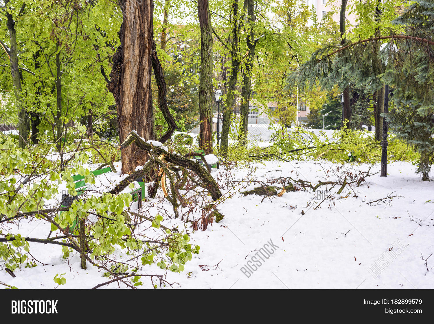 Heavy Snow Apocalypse Image & Photo (Free Trial) | Bigstock