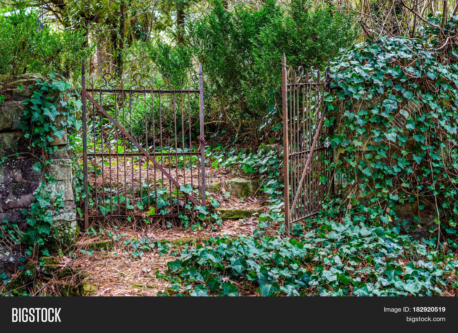 Scenic Rusty Iron Gate Image & Photo (Free Trial) | Bigstock
