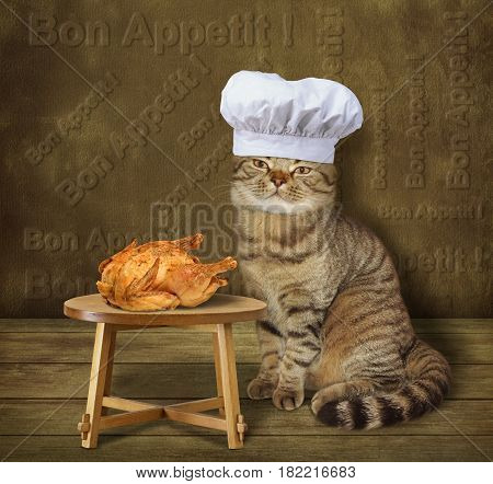 Cat Cook Made Fried Image & Photo (Free Trial) | Bigstock