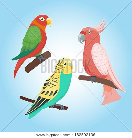 Cartoon Tropical Vector & Photo (Free Trial) | Bigstock