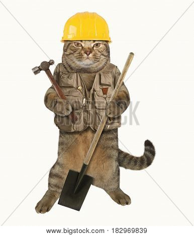 Cat Builder Holding Image & Photo (Free Trial) | Bigstock