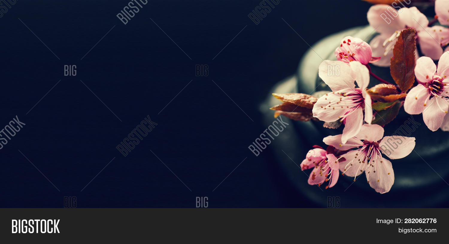 Dark Background Spa Image & Photo (Free Trial) | Bigstock