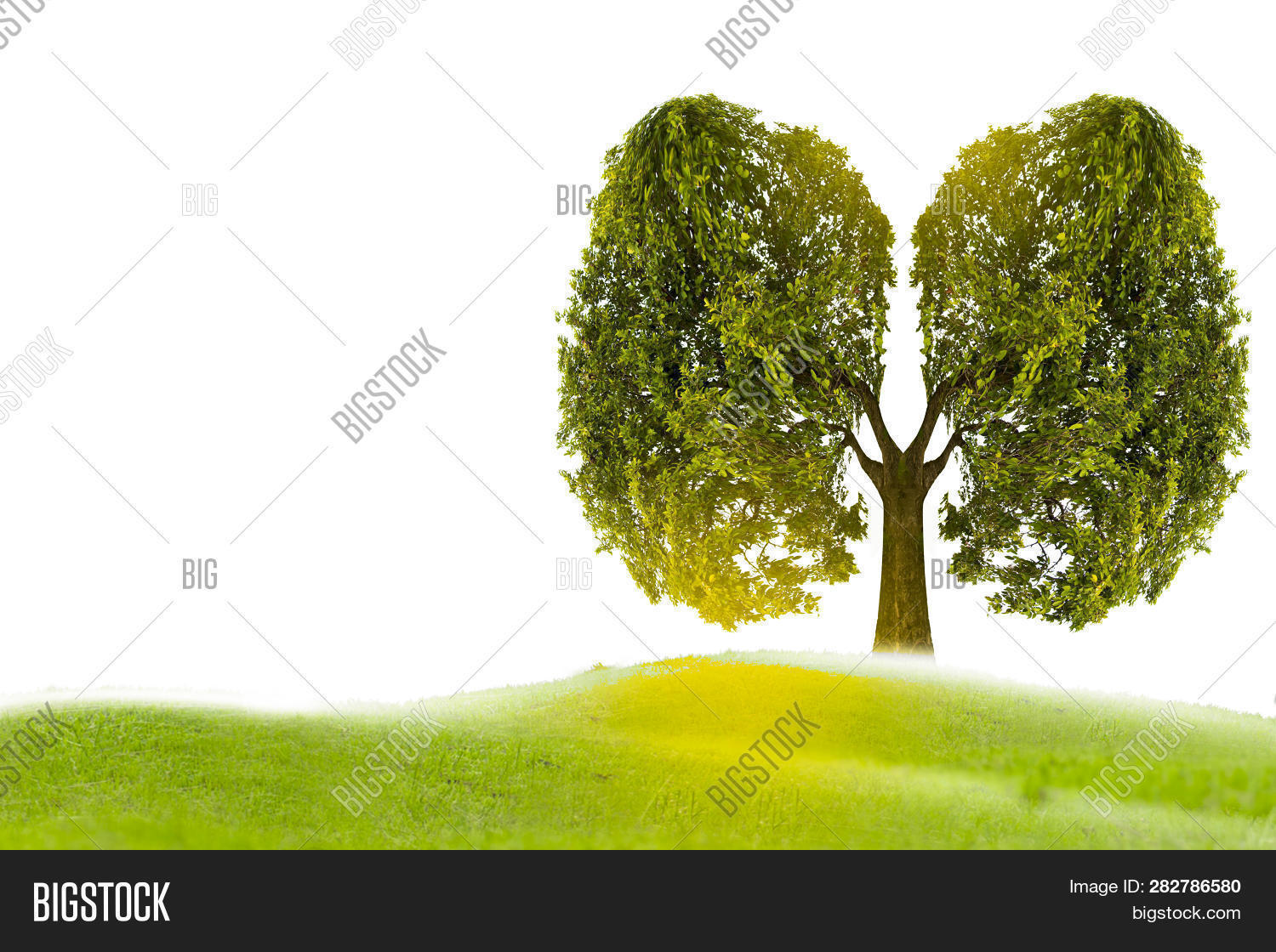 Lung Green Tree-shaped Image & Photo (Free Trial) | Bigstock