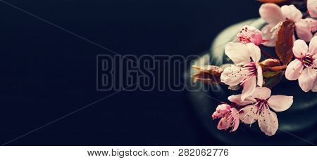 Dark Background Spa Image & Photo (Free Trial) | Bigstock