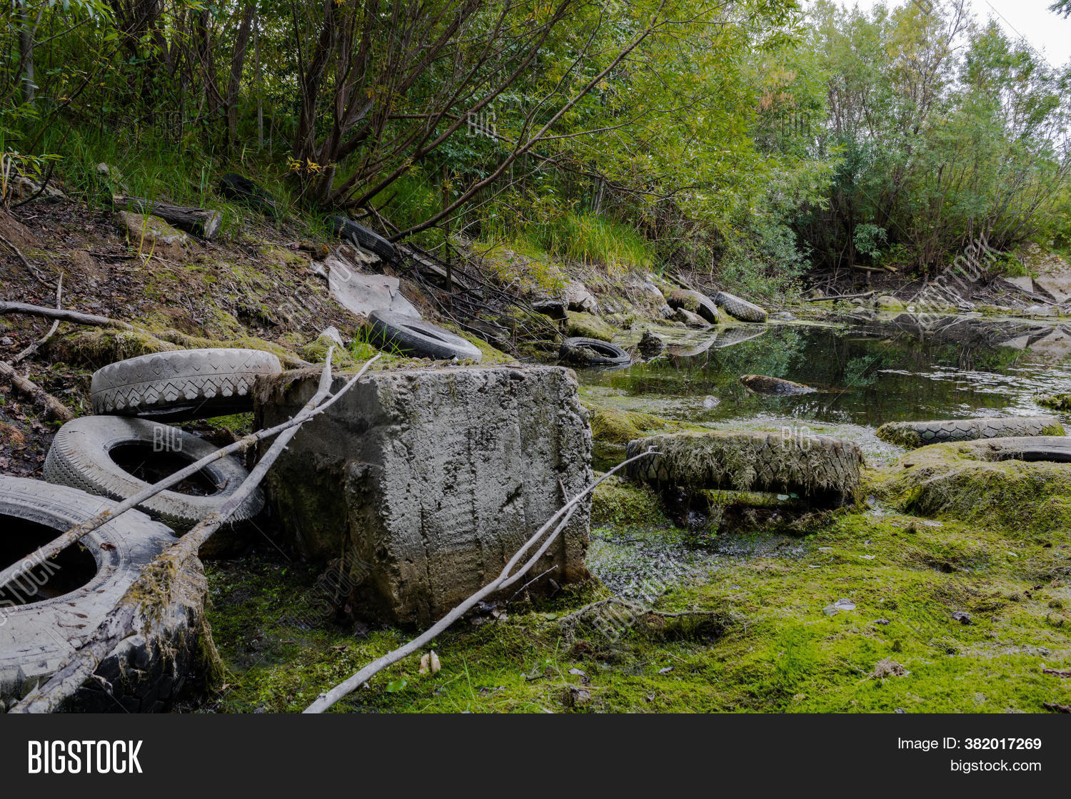 Contaminated Lake. Image & Photo (Free Trial) | Bigstock