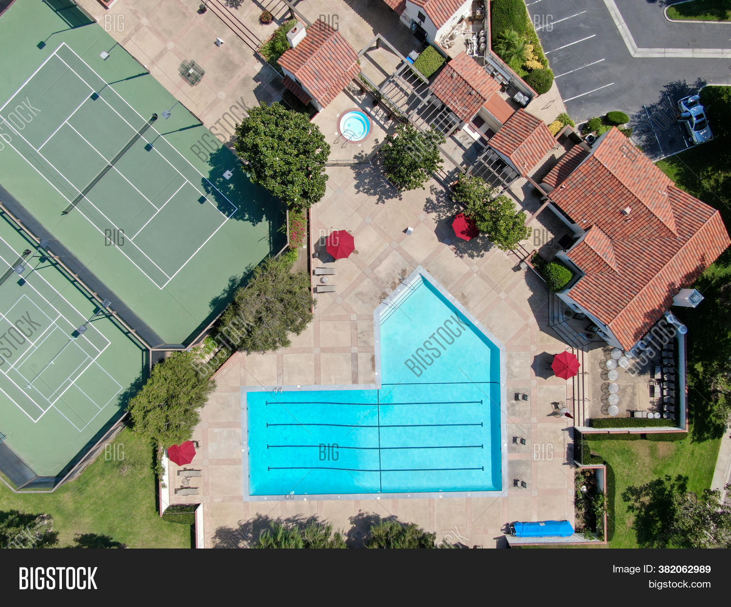 Aerial View Swimming Image & Photo (Free Trial) | Bigstock