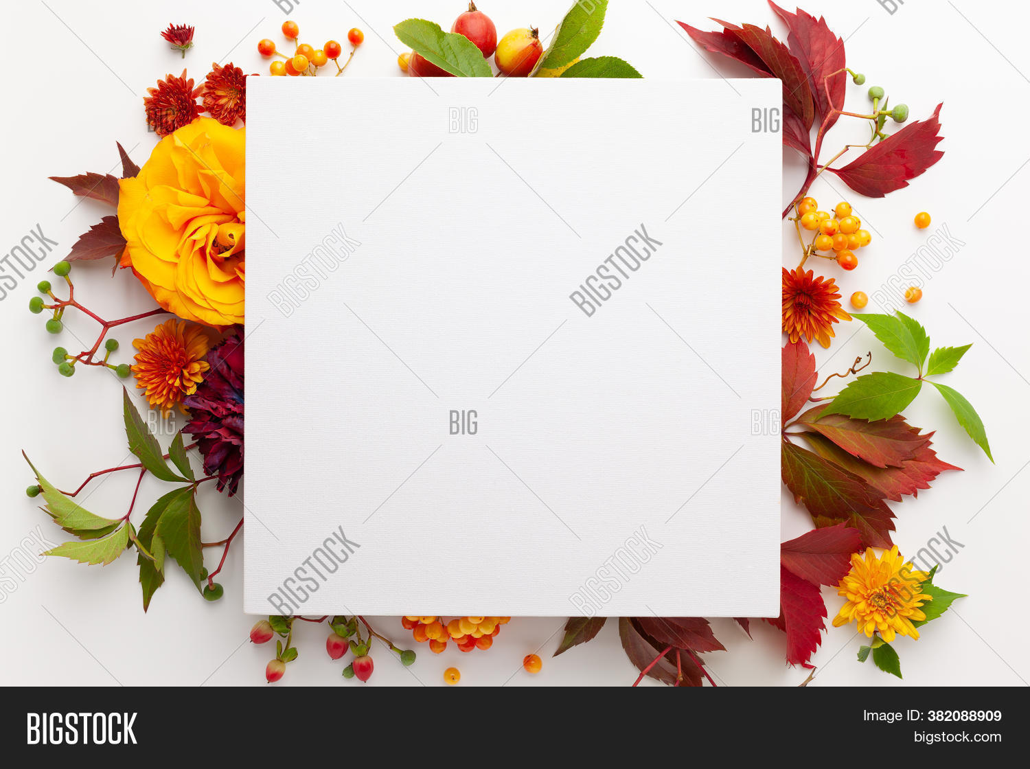 Autumn Composition Image & Photo (Free Trial) | Bigstock
