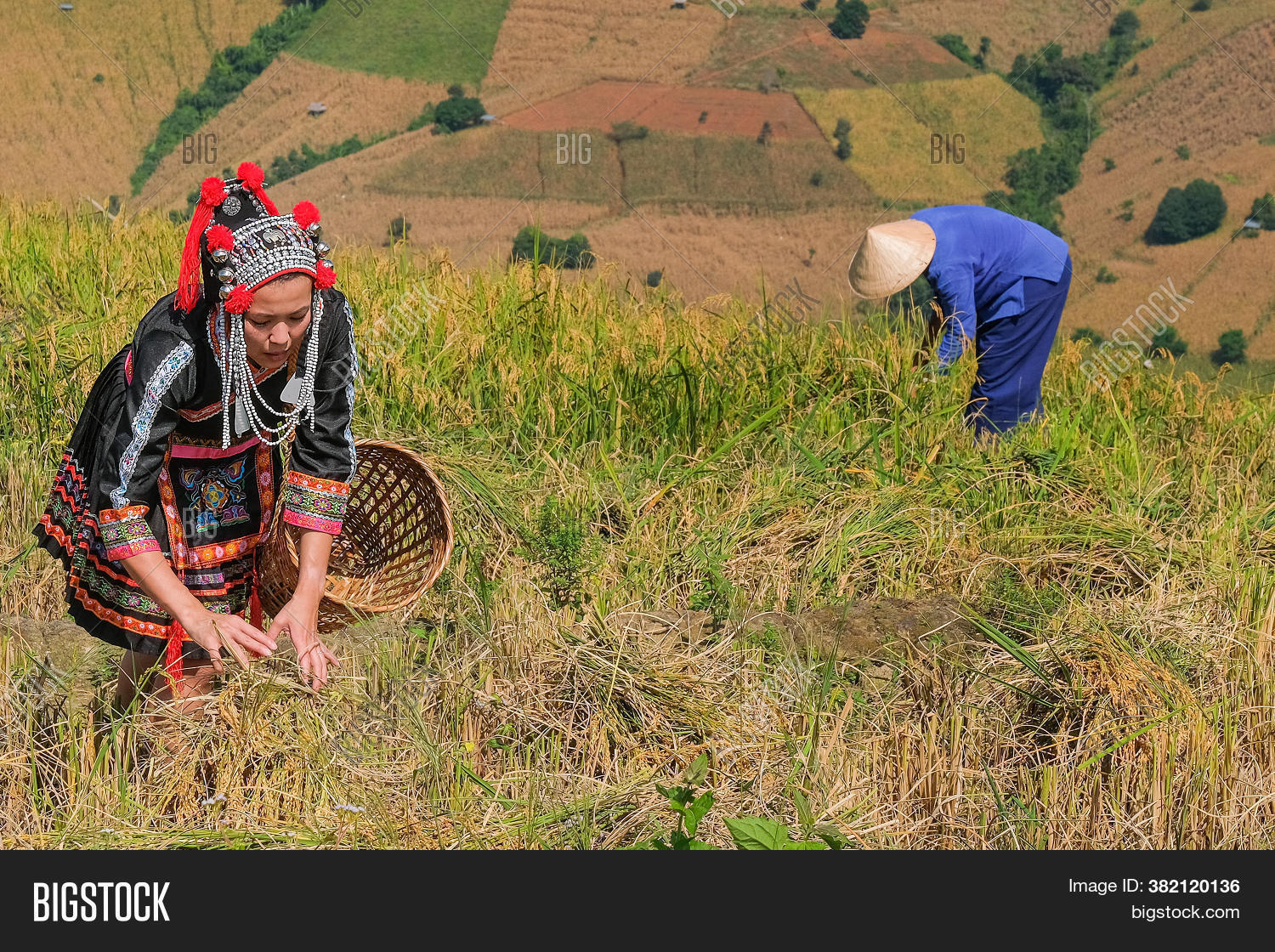 Beautiful Farmer Girl Image & Photo (Free Trial) | Bigstock