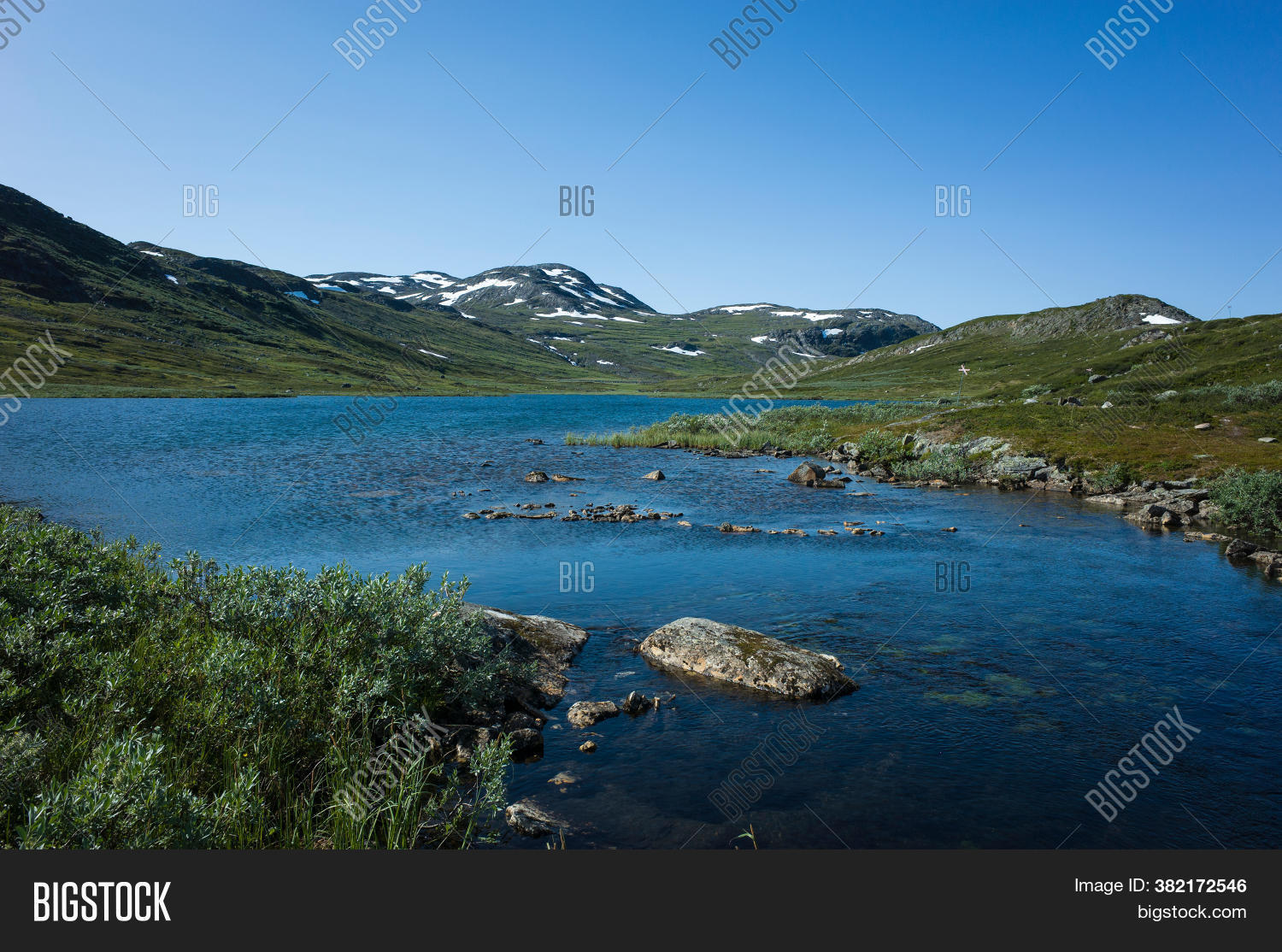 Arctic Nature Image & Photo (Free Trial) | Bigstock