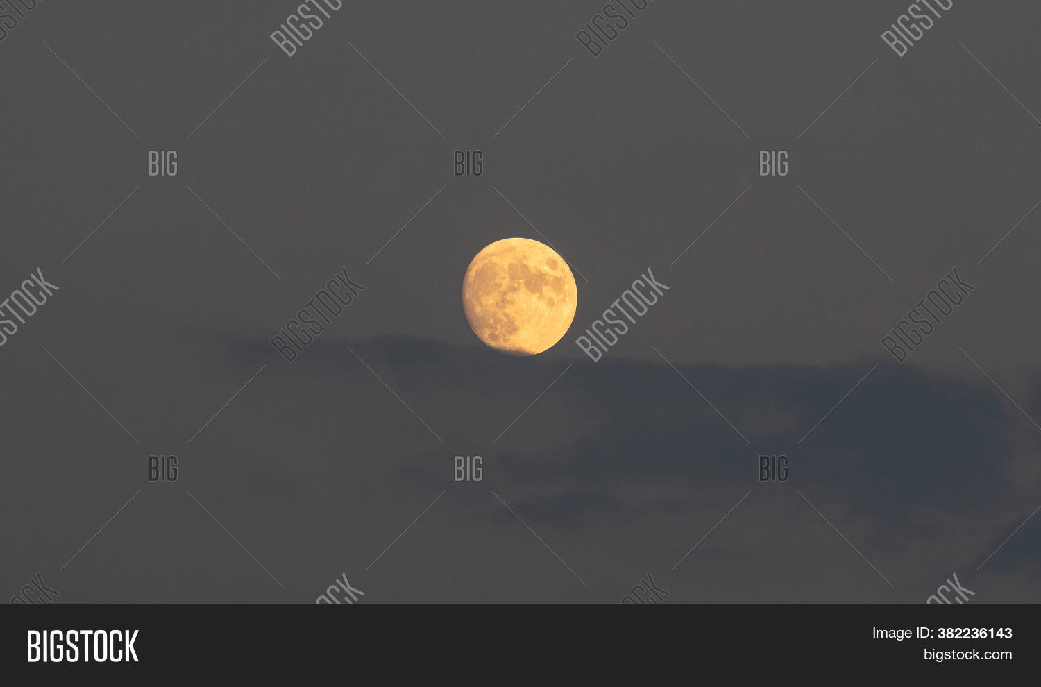 August Orange Full Image & Photo (Free Trial) | Bigstock
