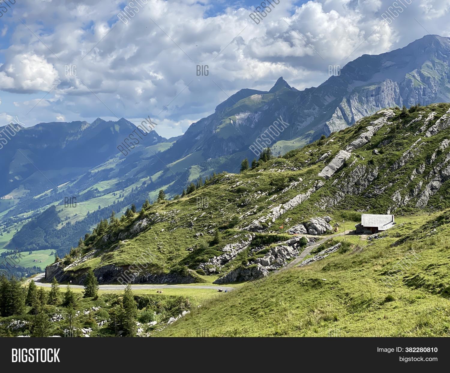 Alpine Meadows Image & Photo (Free Trial) | Bigstock