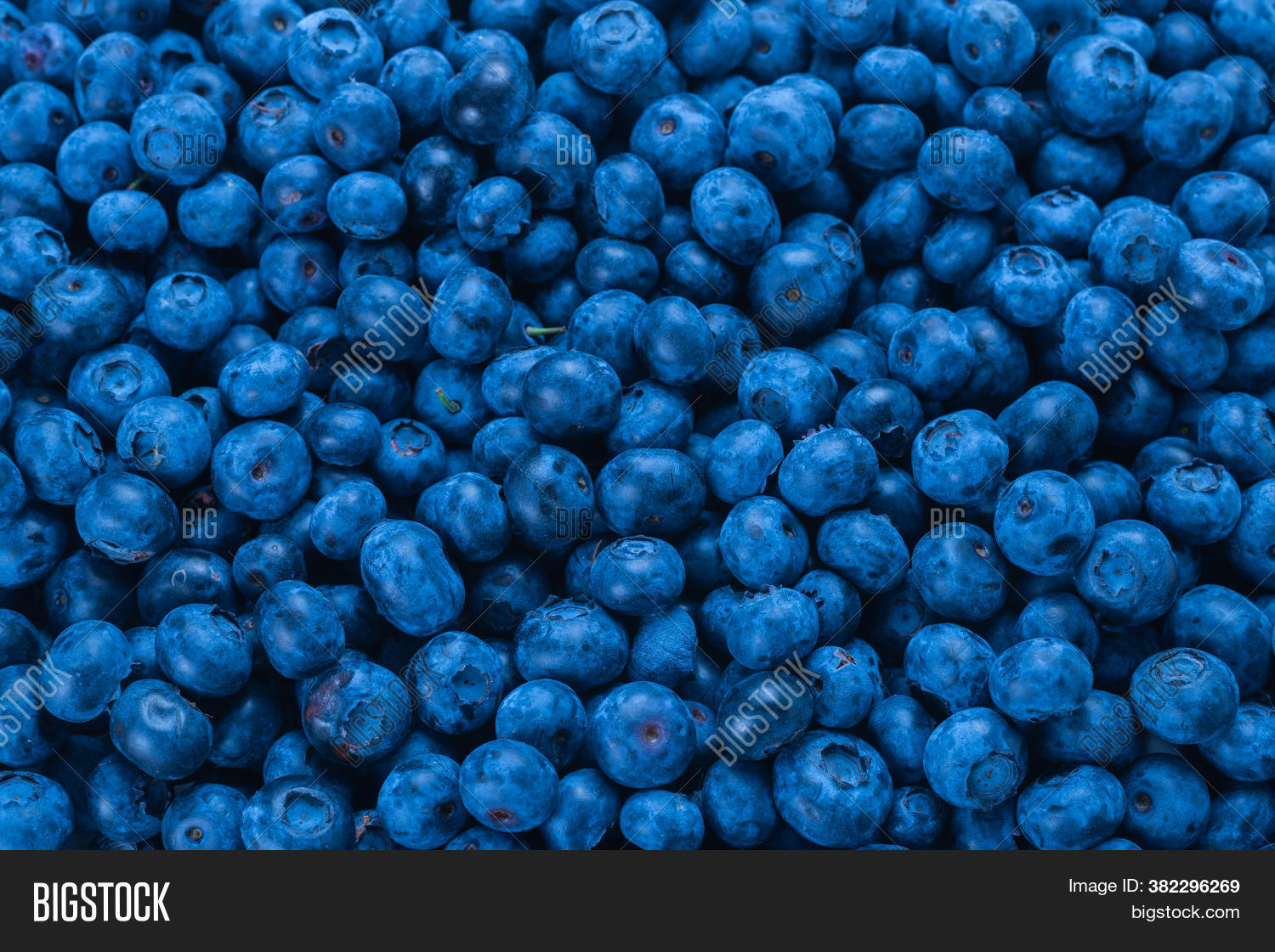 Fresh Blueberry Image & Photo (Free Trial) | Bigstock