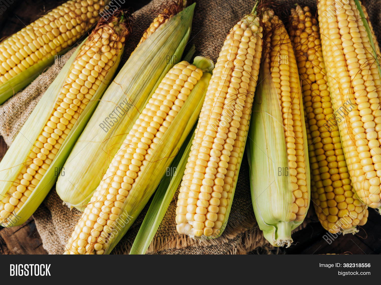 Fresh Corn On Cob On Image & Photo (Free Trial) | Bigstock