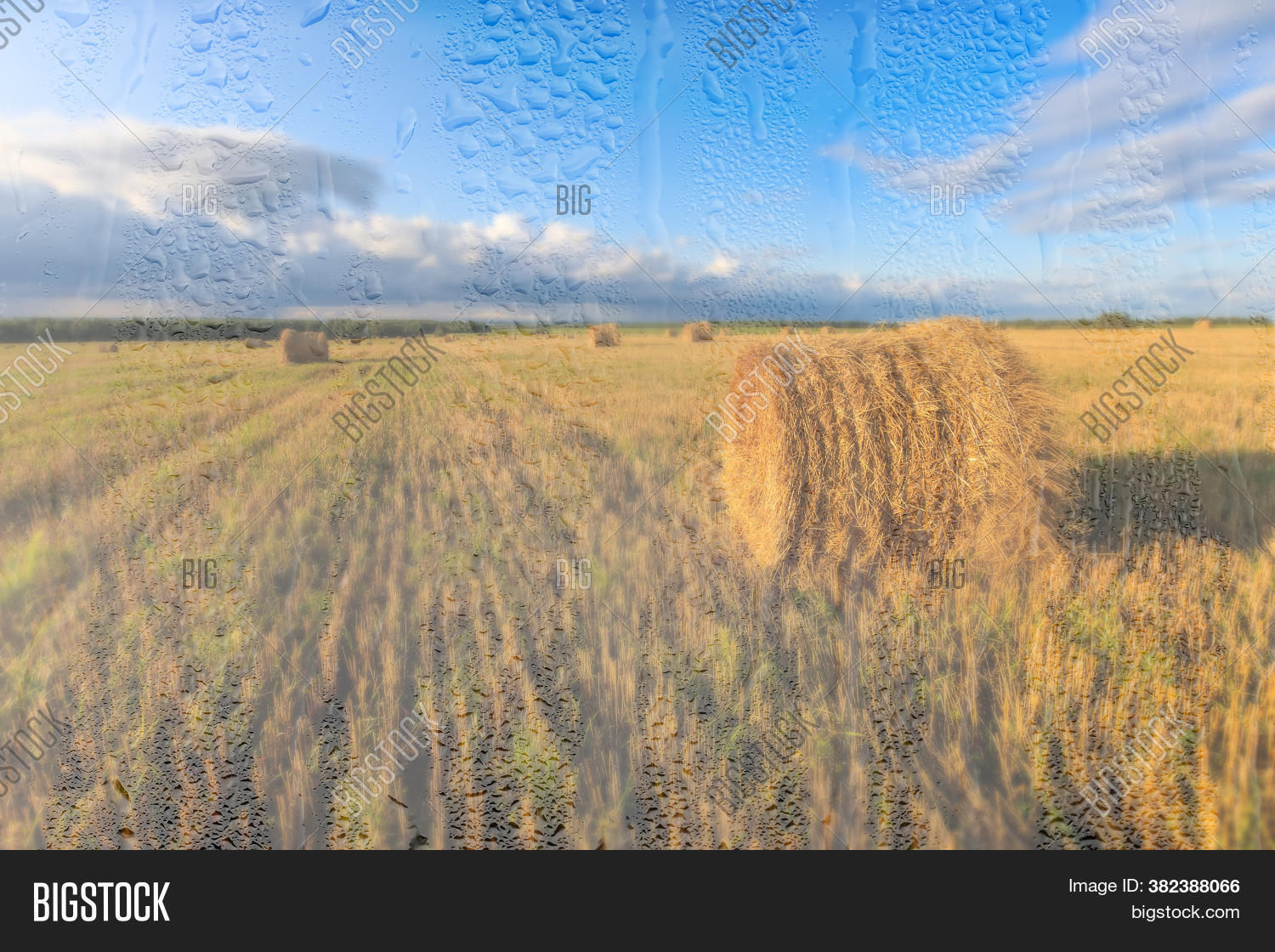 Haystacks On Field Image & Photo (Free Trial) | Bigstock