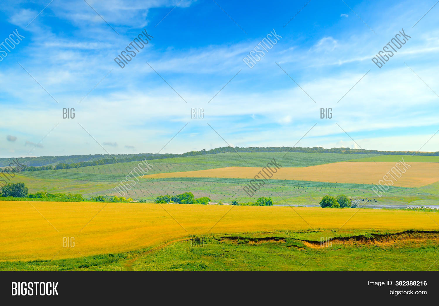 Picturesque Field Blue Image & Photo (Free Trial) | Bigstock