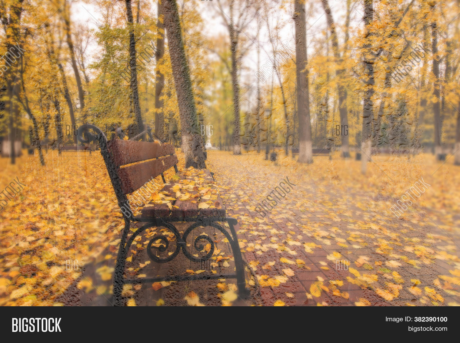 Leaf Fall Park Autumn Image & Photo (Free Trial) | Bigstock
