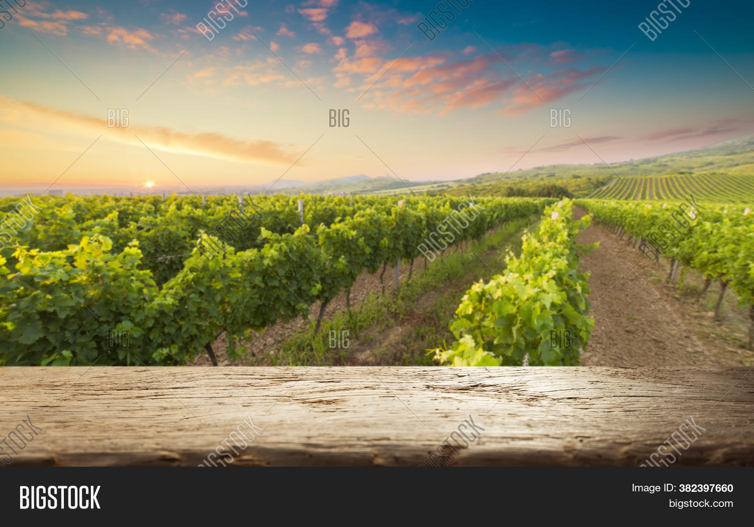 Chianti Vineyard Image & Photo (Free Trial) | Bigstock