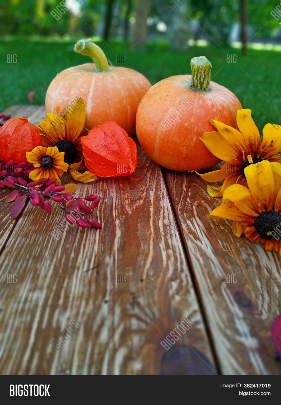 Fall Colors. Yellow Image & Photo (Free Trial) | Bigstock