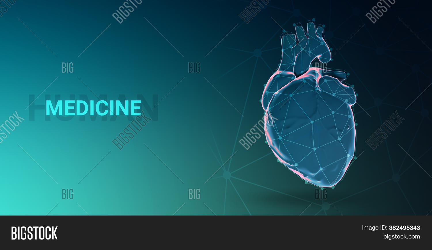 Cardiology Concept. Image & Photo (Free Trial) | Bigstock