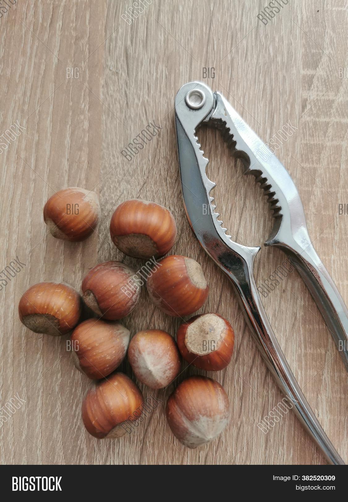 Nutcracker Hazelnuts Image & Photo (Free Trial) | Bigstock