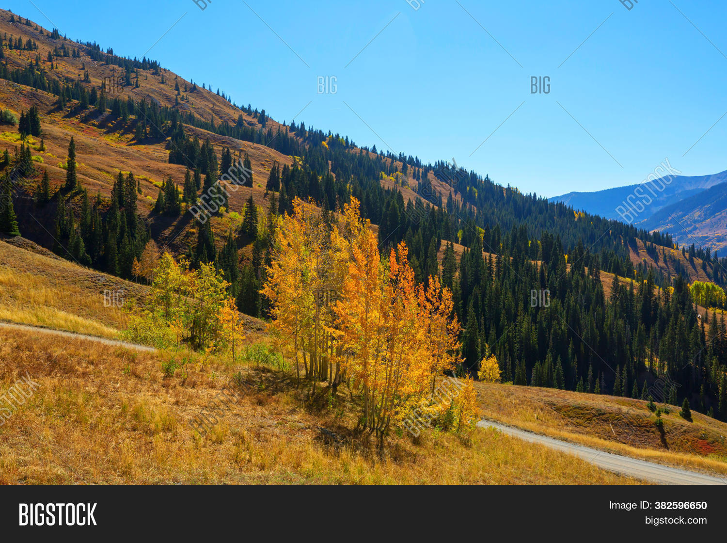Colorful Yellow Autumn Image & Photo (Free Trial) | Bigstock