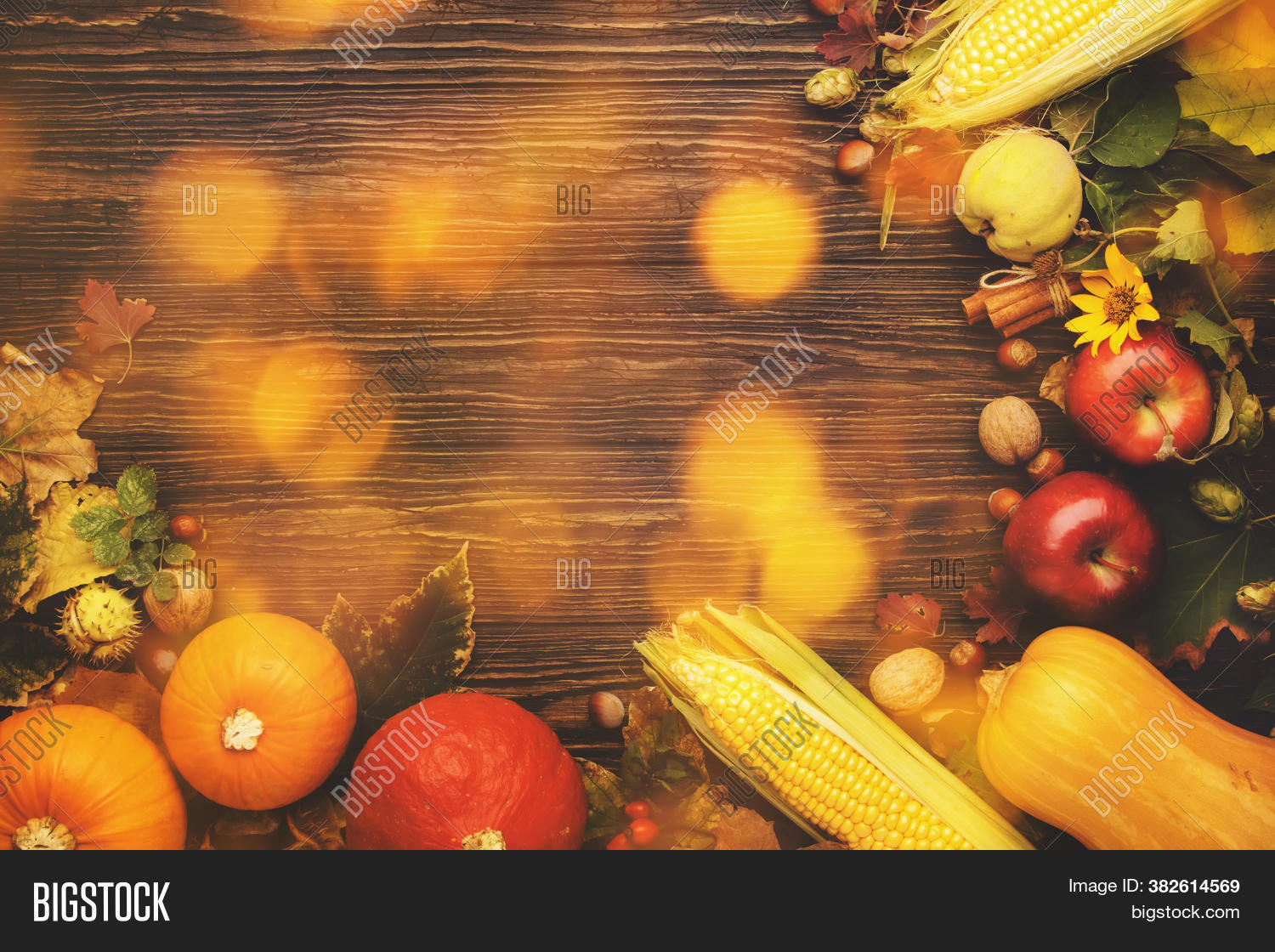 Thanksgiving Image & Photo (Free Trial) | Bigstock