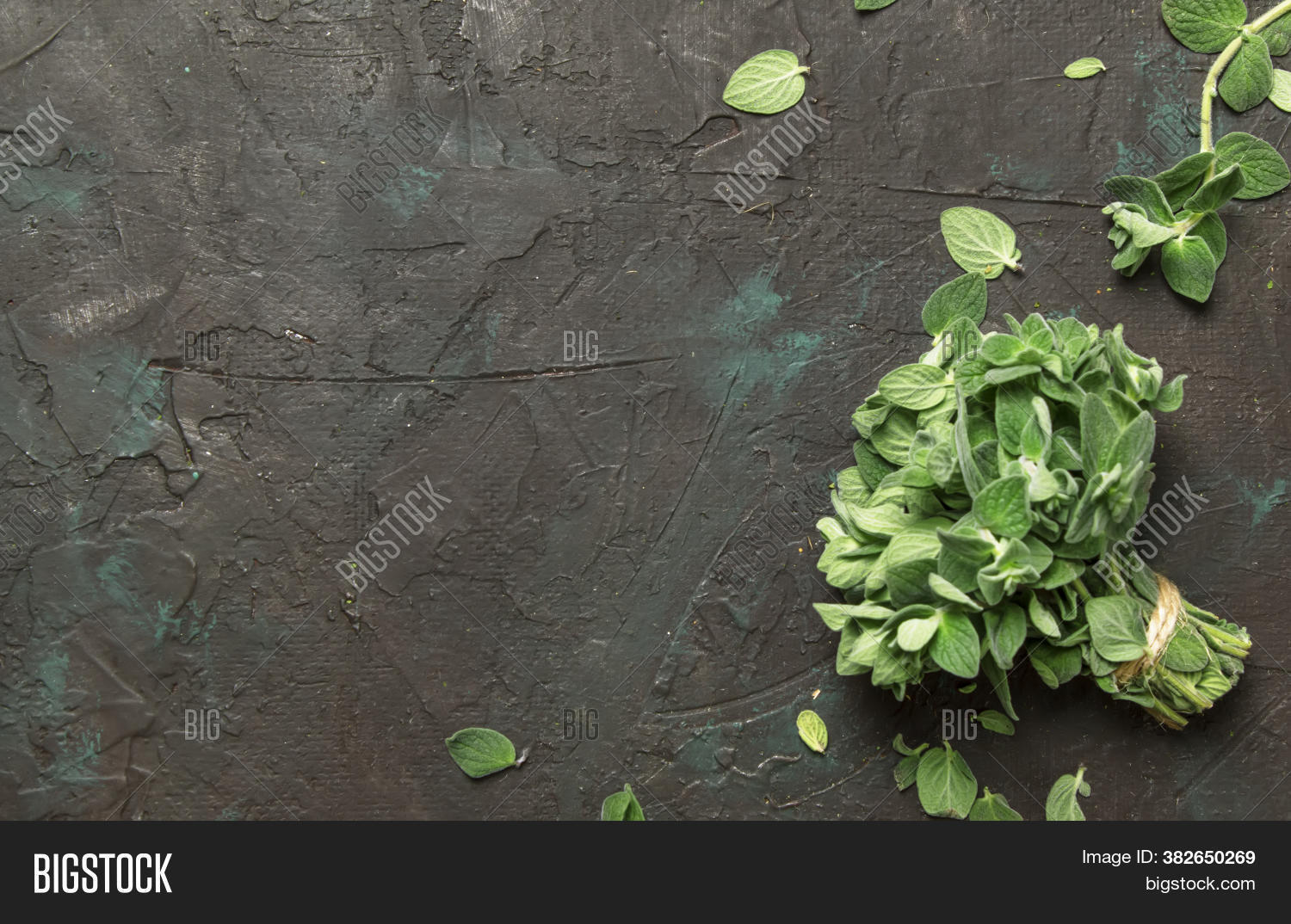 Fresh Green Oregano Image & Photo (Free Trial) | Bigstock