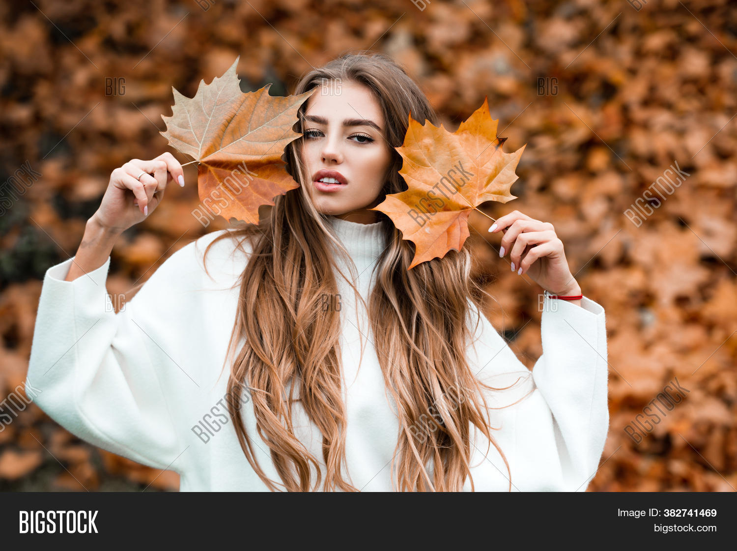 Beautiful Autumn Woman Image & Photo (Free Trial) | Bigstock