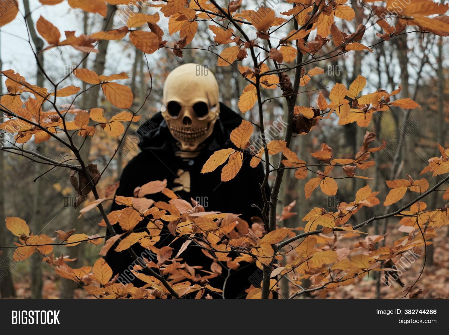 Halloween Party. Death Image & Photo (Free Trial) | Bigstock
